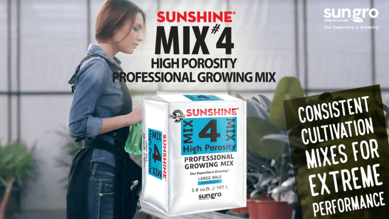 Videos – Sunshine